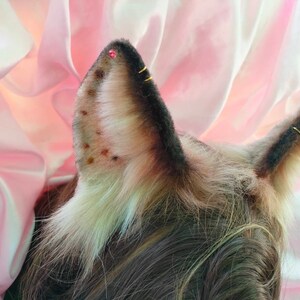 Ears Brown Fox Timber Wolf Husky Ears Kitsune Headband German Shepherd ...