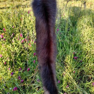 Tail Wolfish Personalise Colours, Fox Wolf Kitten Cat Puppy Dog Faux ...