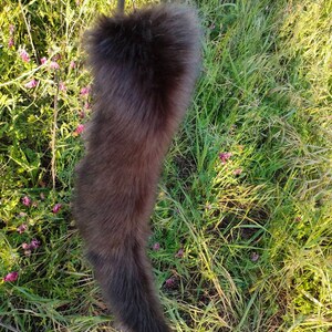 Tail Wolfish Personalise Colours, Fox Wolf Kitten Cat Puppy Dog Faux ...