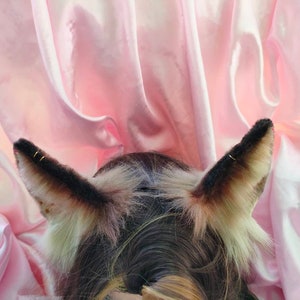 Ears Brown Fox Timber Wolf Husky Ears Kitsune Headband German Shepherd ...