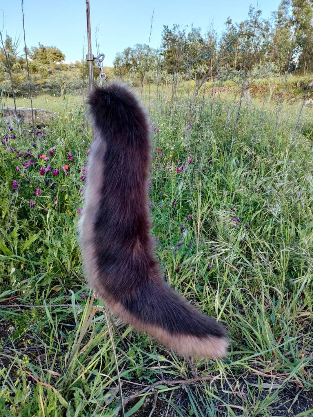 Tail Wolfish Personalise Colours Fox Wolf Kitten Cat Puppy - Etsy