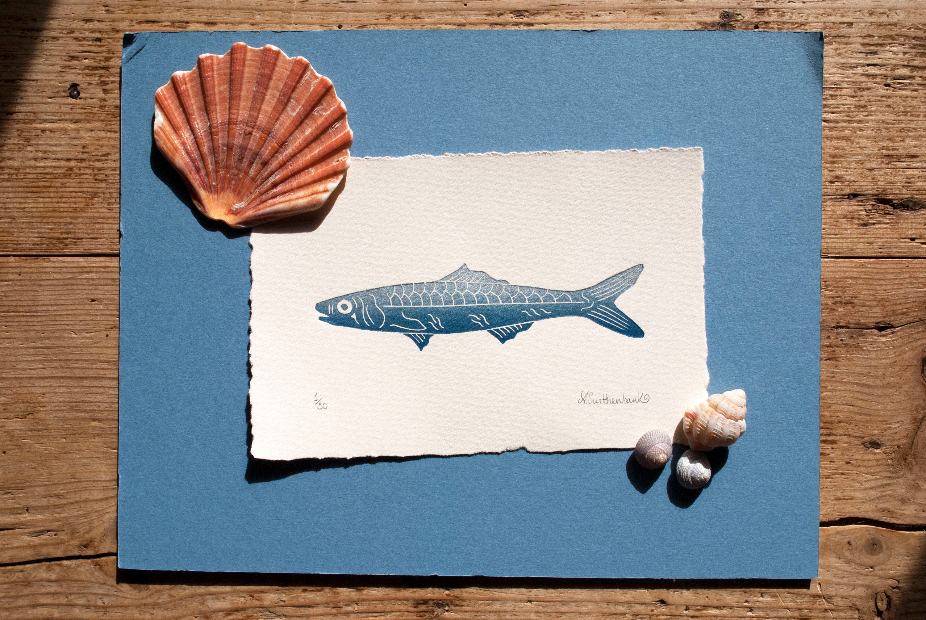Singular Anchovy Lino Print. Wall Art, Home Decor, Mini Print - Etsy