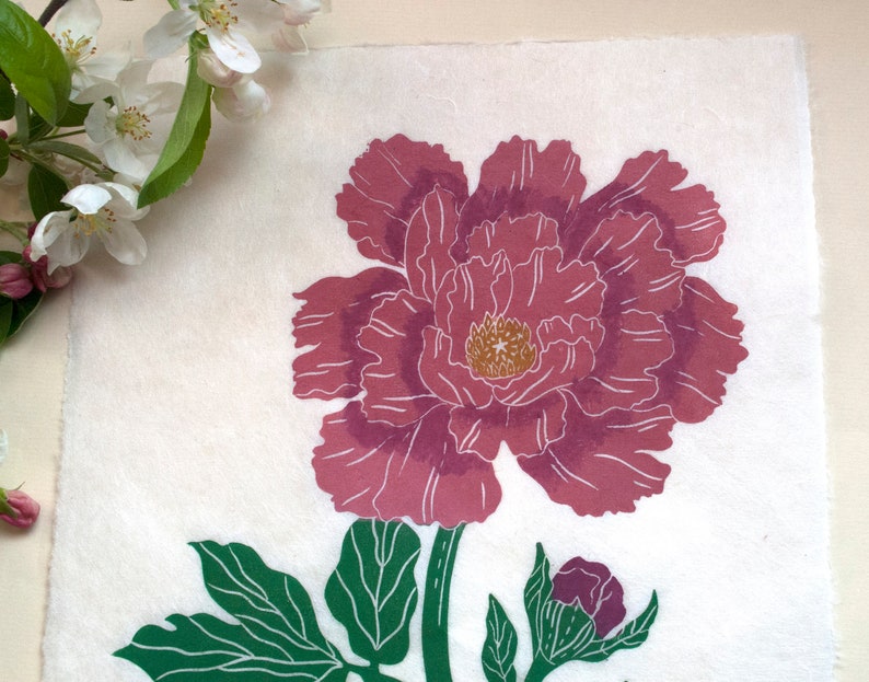 Peony Linocut Print in Vintage Pink on Beautiful Lokta Paper. - Etsy