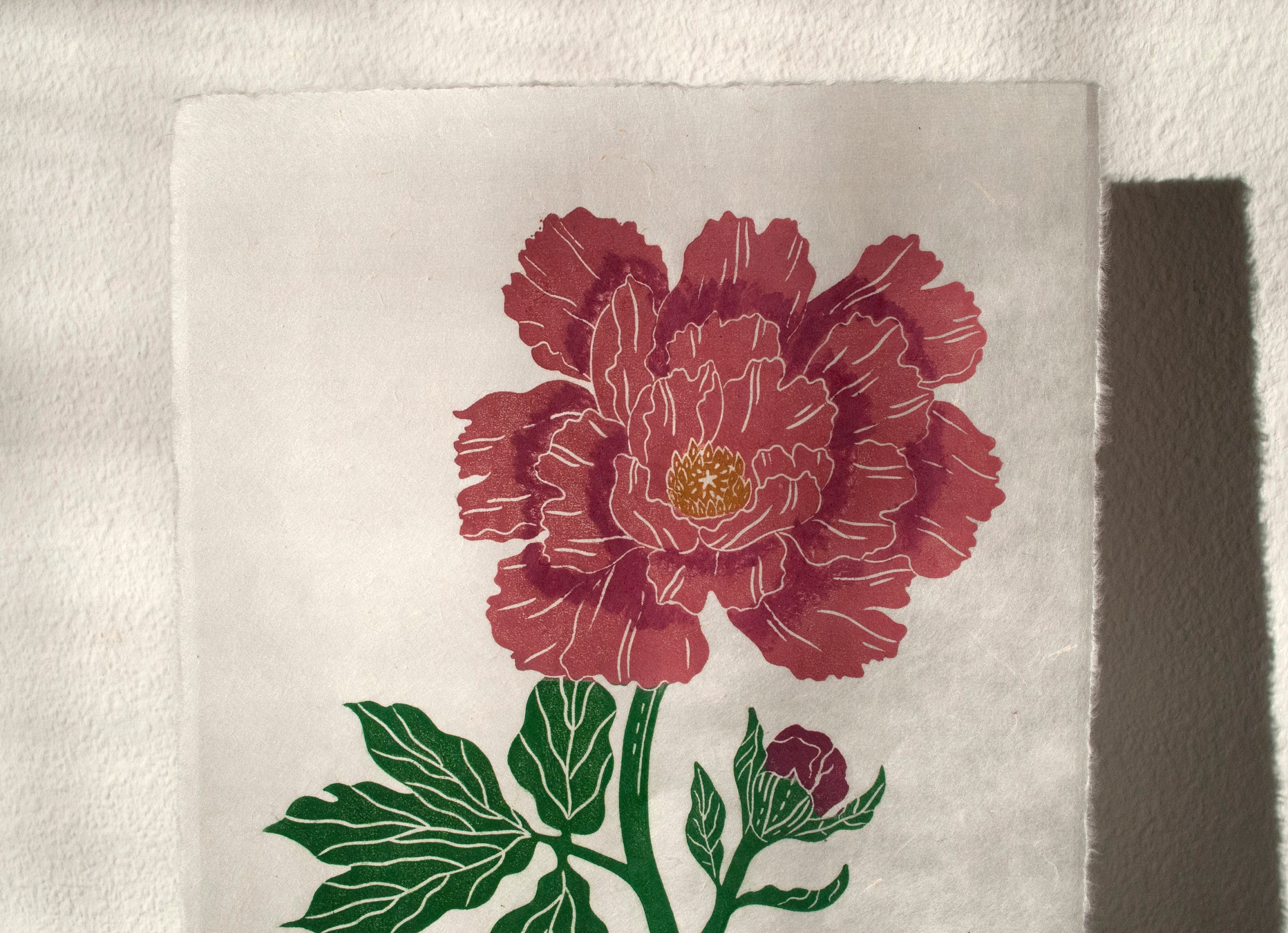 Peony Linocut Print in Vintage Pink on Beautiful Lokta Paper. - Etsy