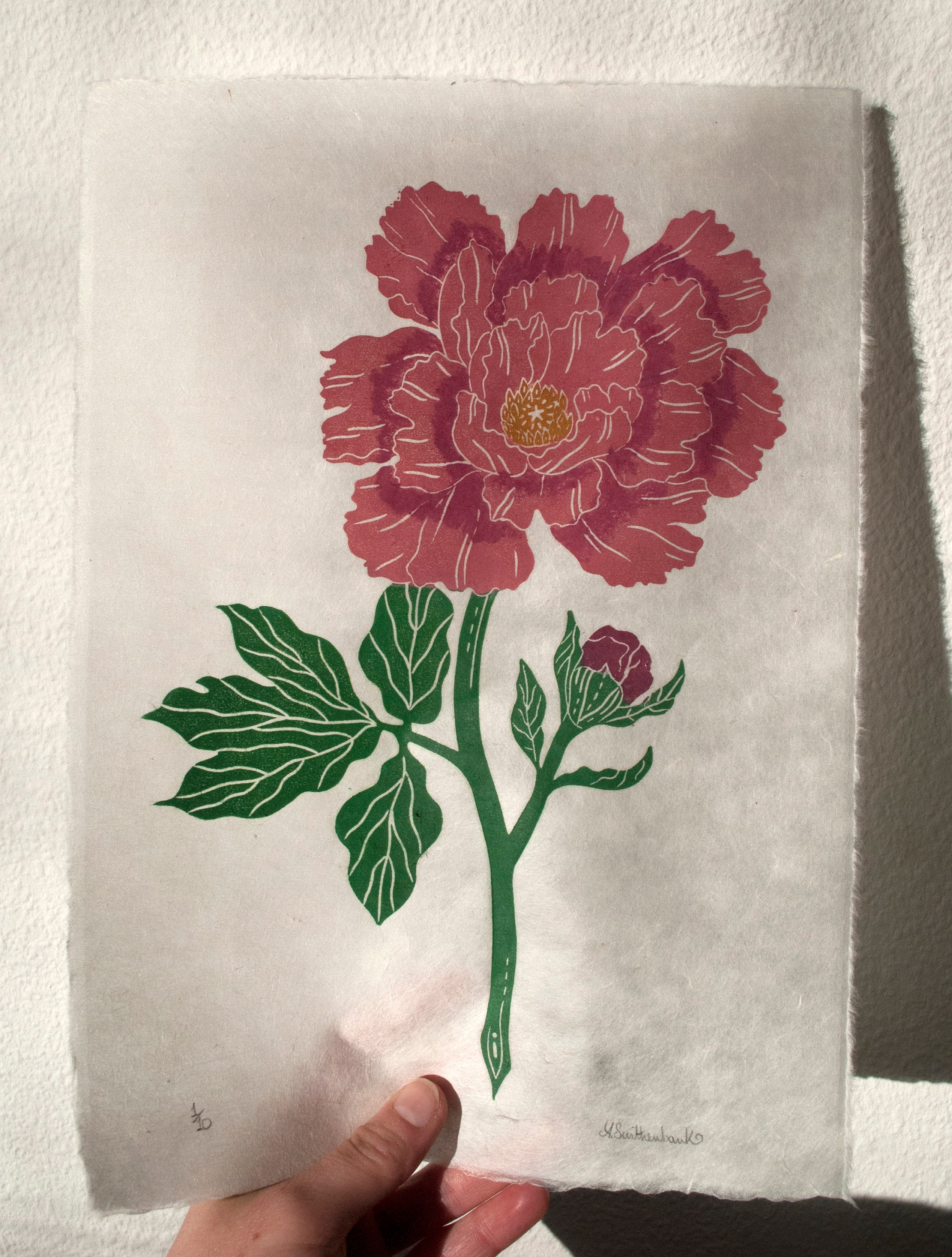 Peony Linocut Print in Vintage Pink on Beautiful Lokta Paper. - Etsy