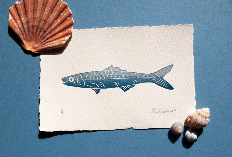 Singular Anchovy Lino Print. Wall Art, Home Decor, Mini Print - Etsy