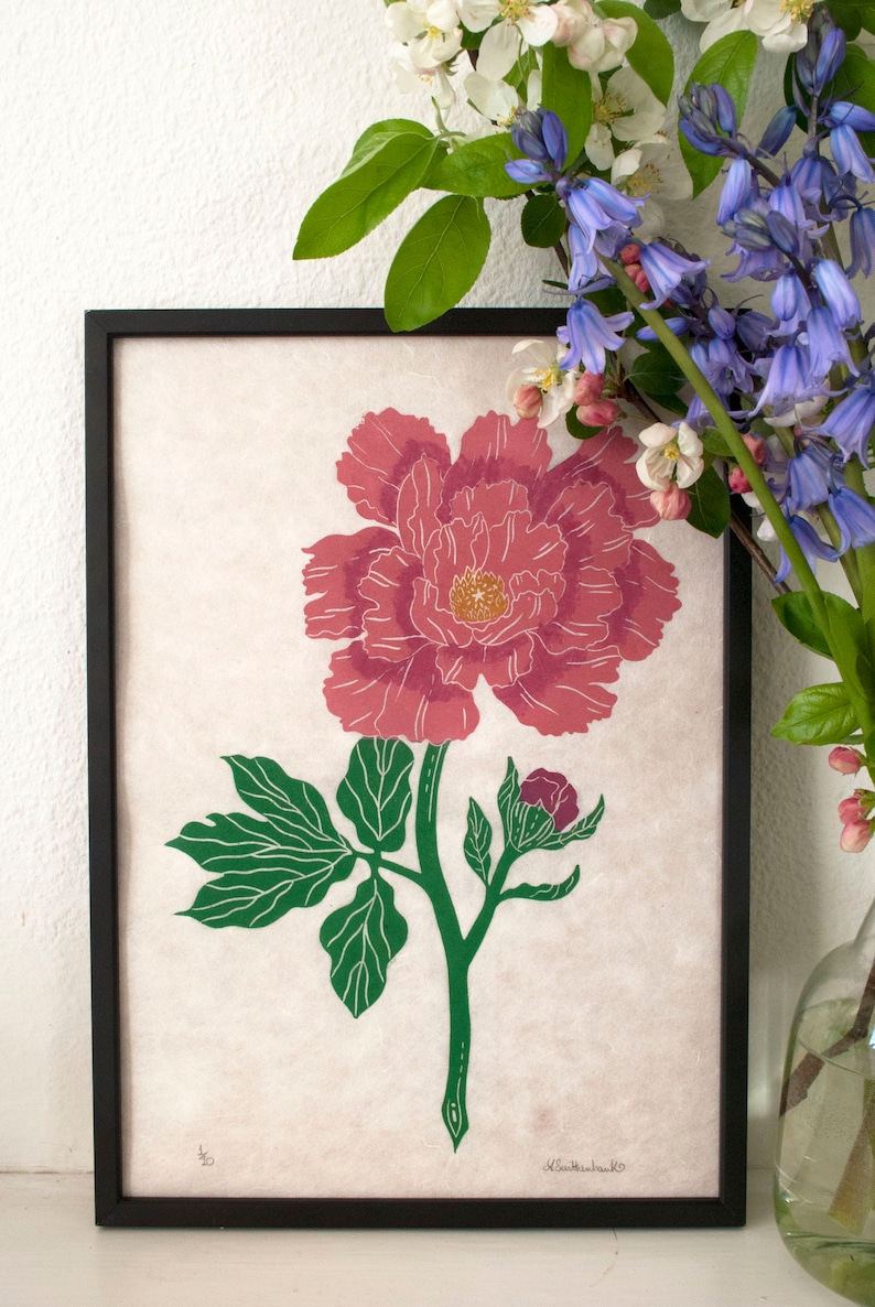 Peony Linocut Print in Vintage Pink on Beautiful Lokta Paper. - Etsy