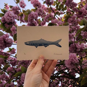 Singular Anchovy Lino Print. Wall Art, Home Decor, Mini Print - Etsy