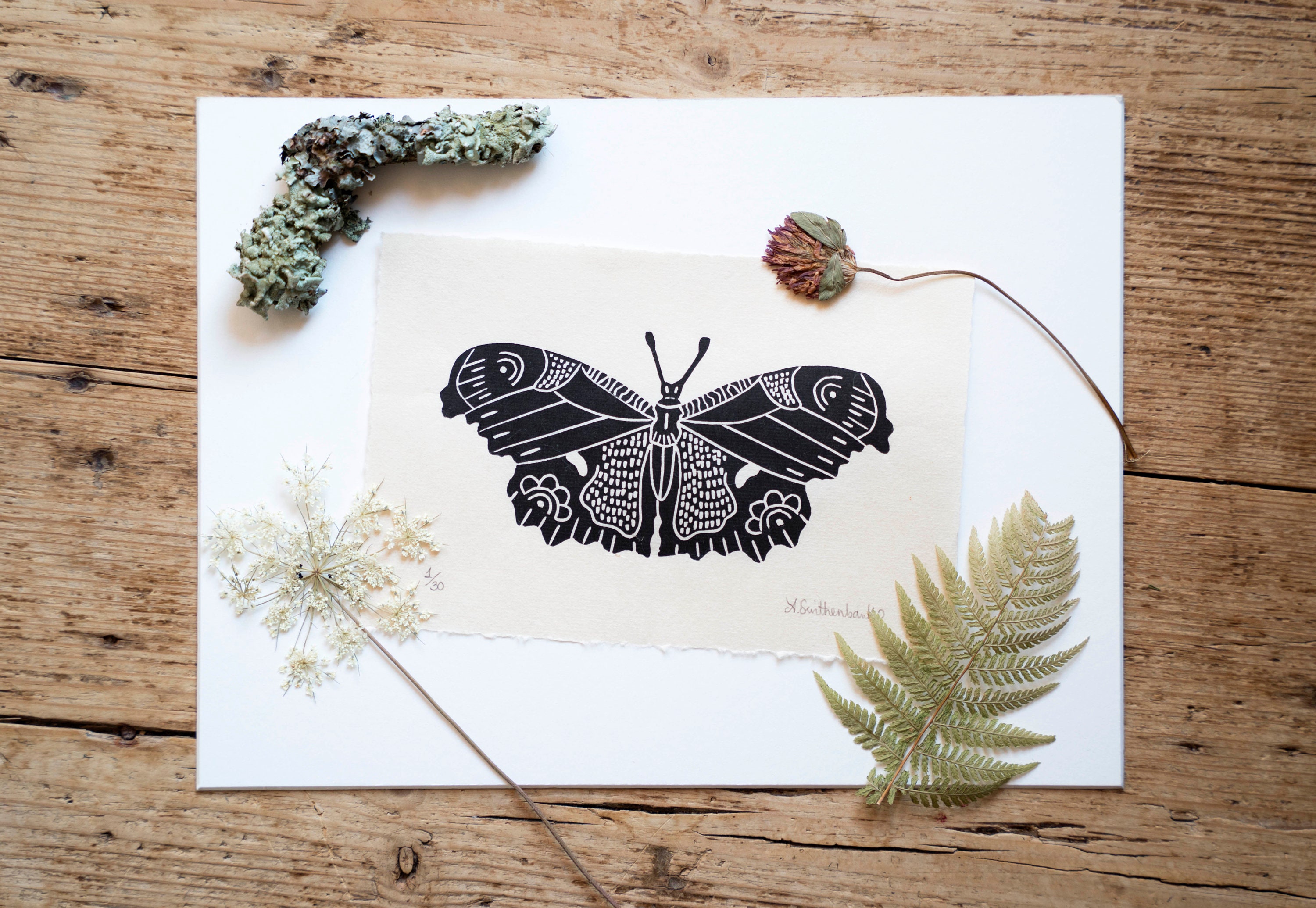 Butterfly Lino Cut Print on Japanese Awagami Kitakata Paper. Home Decor ...