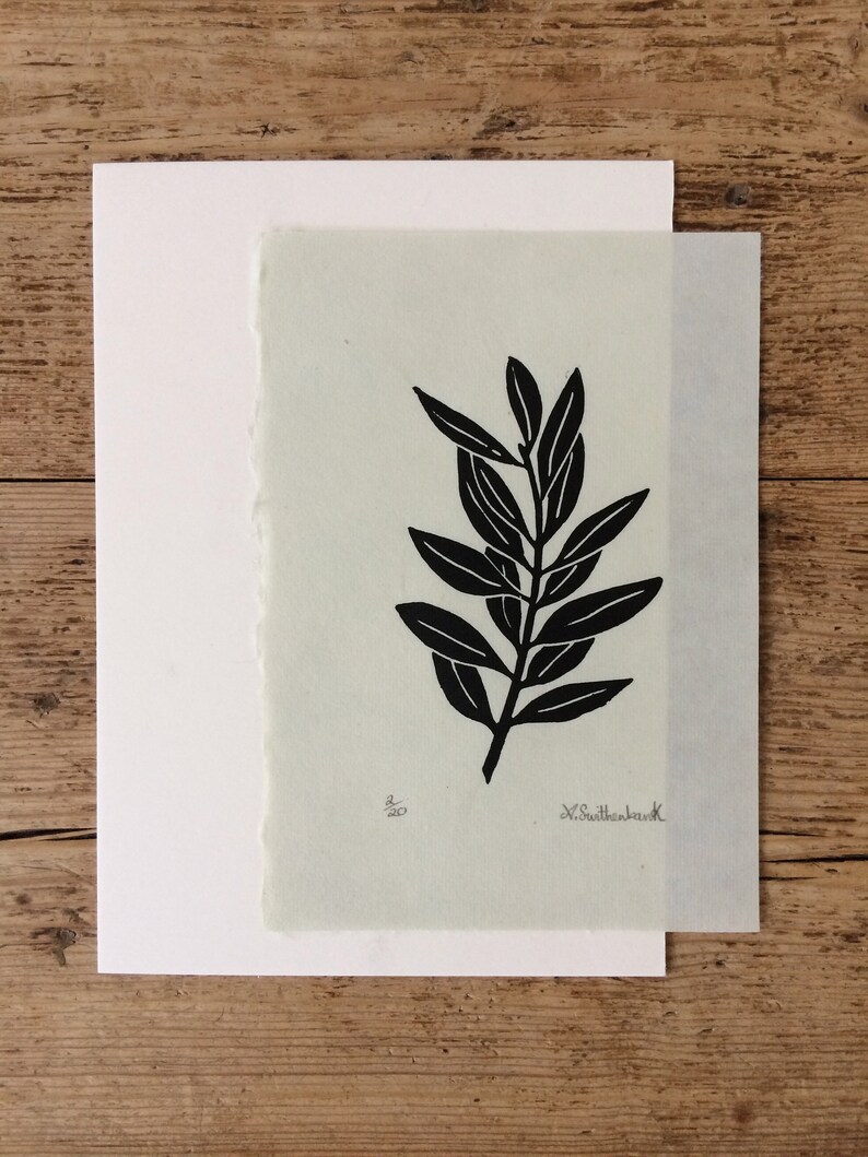 Singular Olive Branch Hand Printed on Kitakata Green Paper - Etsy