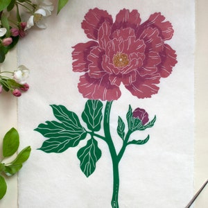 Peony Linocut Print in Vintage Pink on Beautiful Lokta Paper. - Etsy