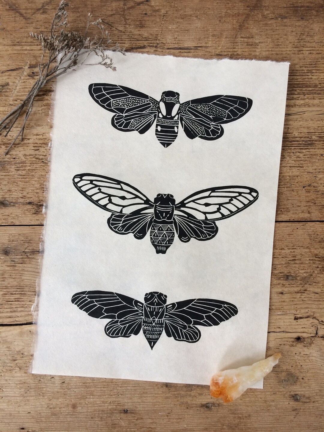 Cicada's Lino Print on Japanese Kitakata Paper. Wall Art, Home Decor - Etsy