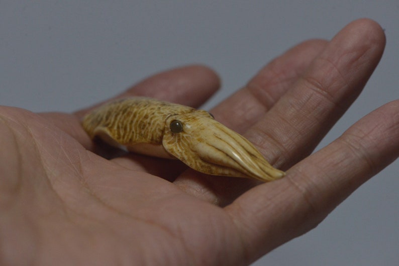 Squid - Etsy