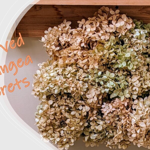 Hydrangea Soap - Etsy