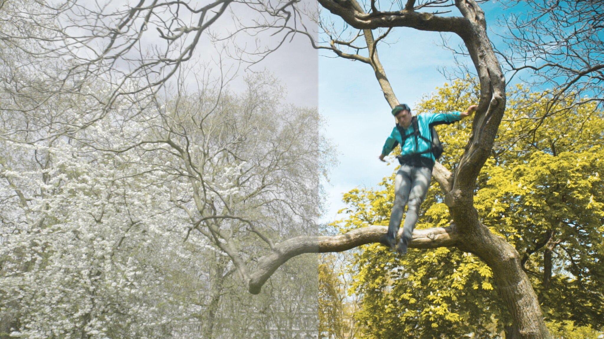 Sky Blue LUT Pack | Works on All Cameras - Etsy