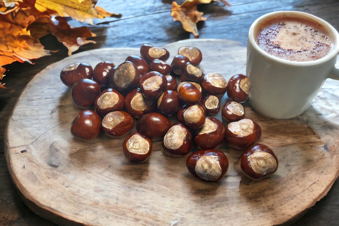 Natural Horse Chestnuts: Rustic Conkers for Crafts & Decor - Etsy UK