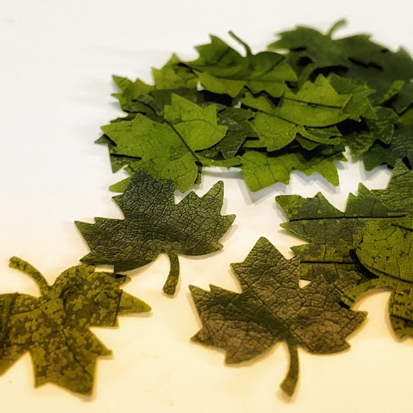 Real Maple Leaf - Etsy