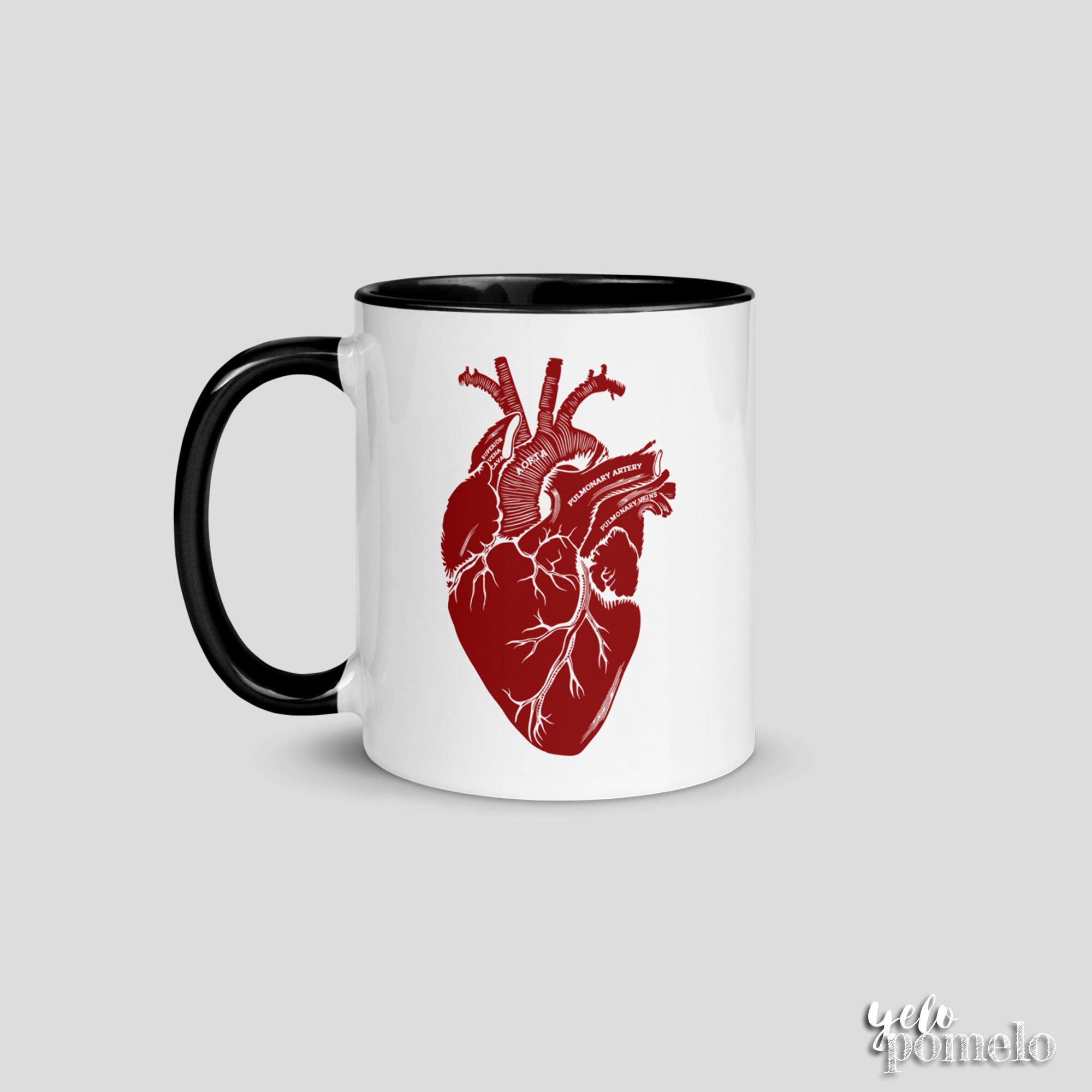 Anatomical Heart Mug, Human Heart Illustration, Medical Gift - Etsy