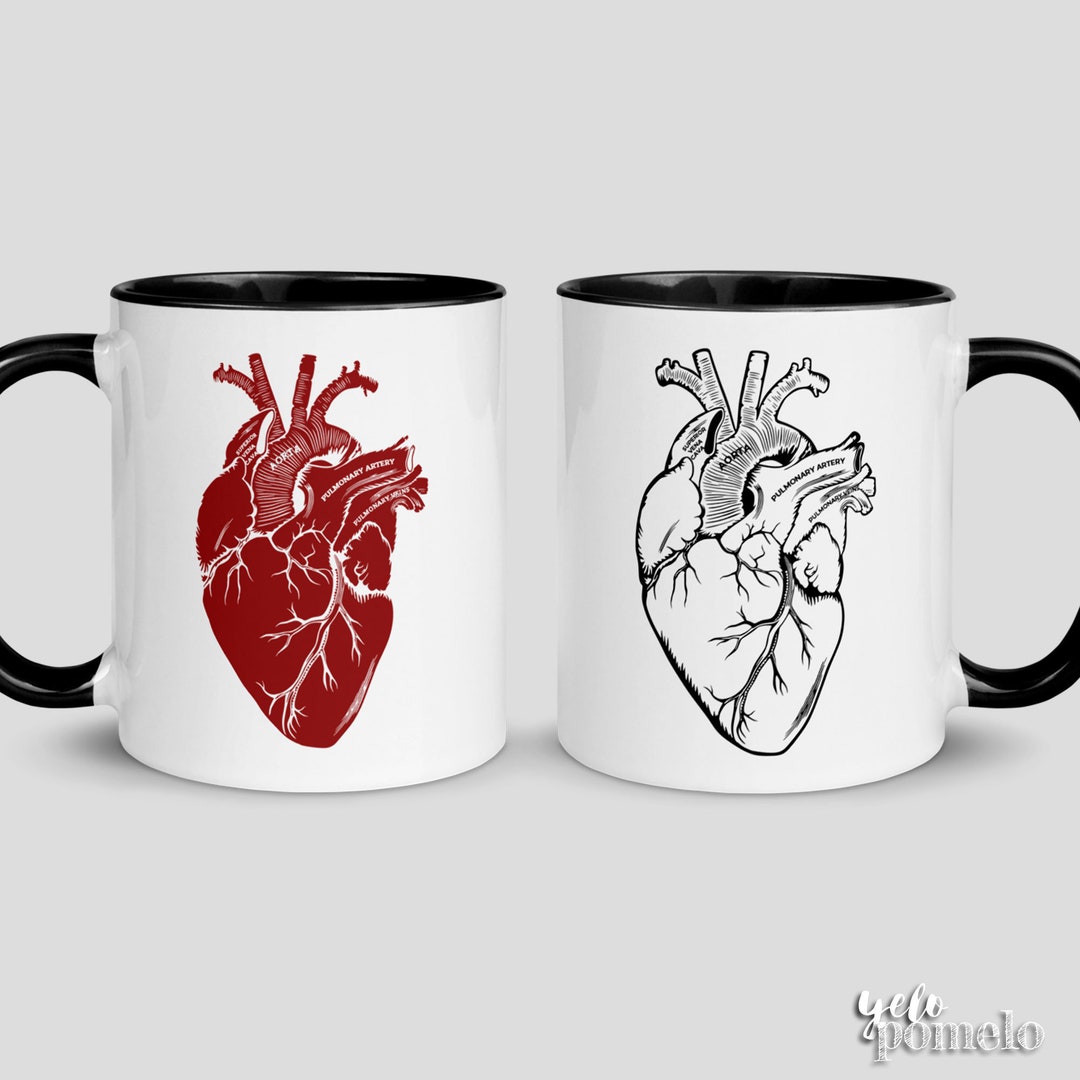 Anatomical Heart Mug, Human Heart Illustration, Medical Gift - Etsy