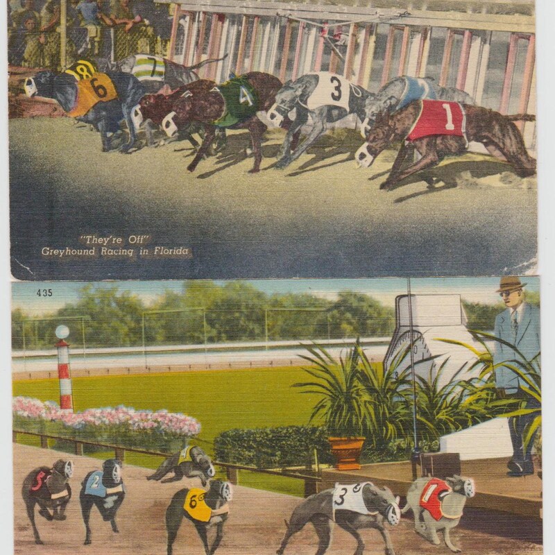 Horse Racing Postcards - Etsy UK