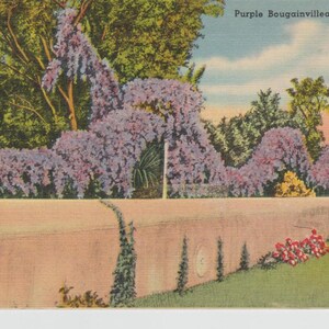 Two 1943 Postcards Mailed Free by Military Personal to Syracuse NY by ...