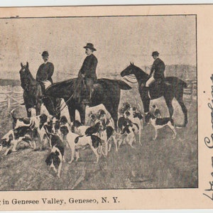 Four Early 1900s Dog Postcards - Etsy