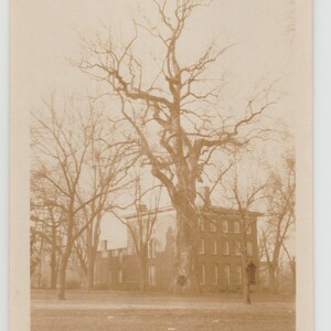 Annapolis Md Eight Original 1920s Photographs - Etsy