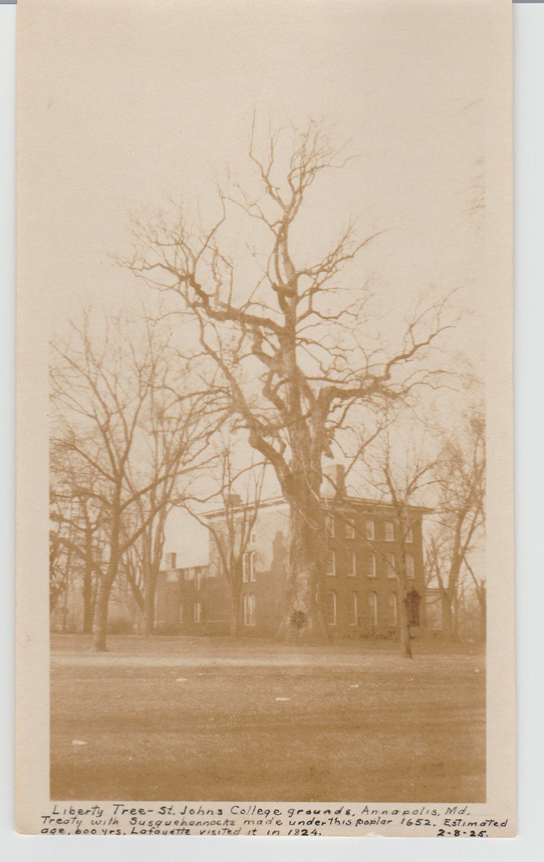 Annapolis Md Eight Original 1920s Photographs - Etsy