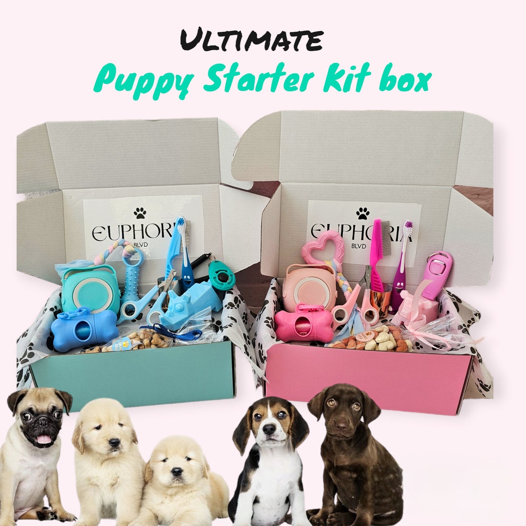 Ultimate Puppy Starter Kit Box in Blue or Pink. Puppy Essentials ...