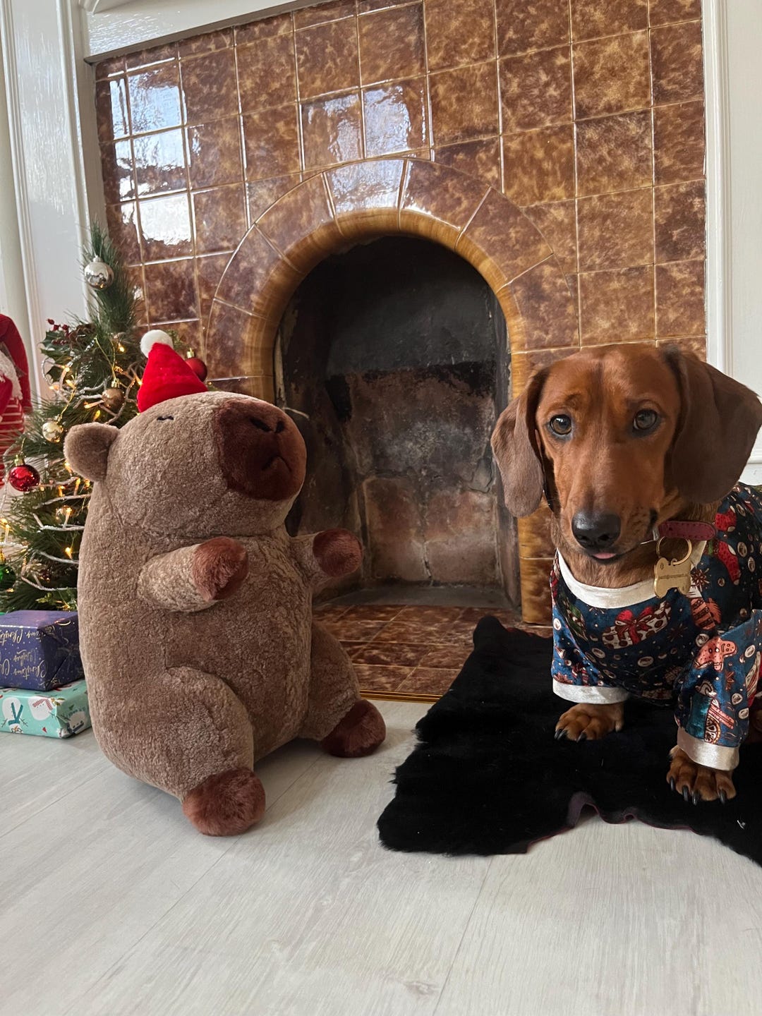 Sheepskin Capybaras/ Teddy Bear/ Bear Toys - Etsy