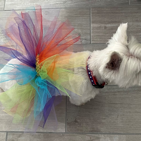 Tutu for Cat - Etsy