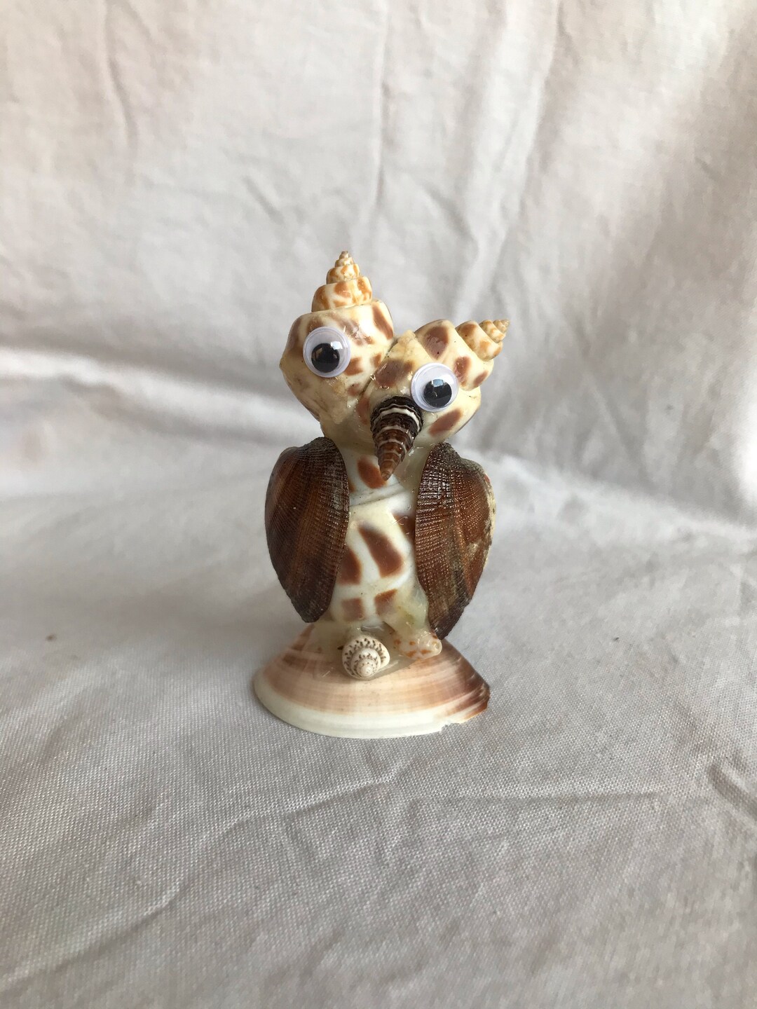 Seashell Bird Cockeyed Bird Natures Beauty Seashell Art - Etsy