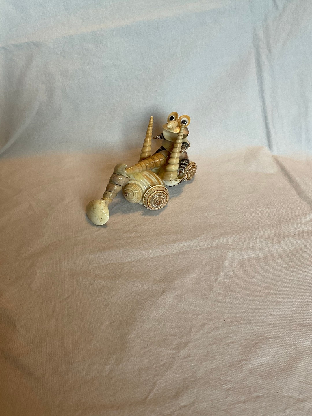 Seashell Frog on an ATV Seashell Art Natures Beauty Frog - Etsy