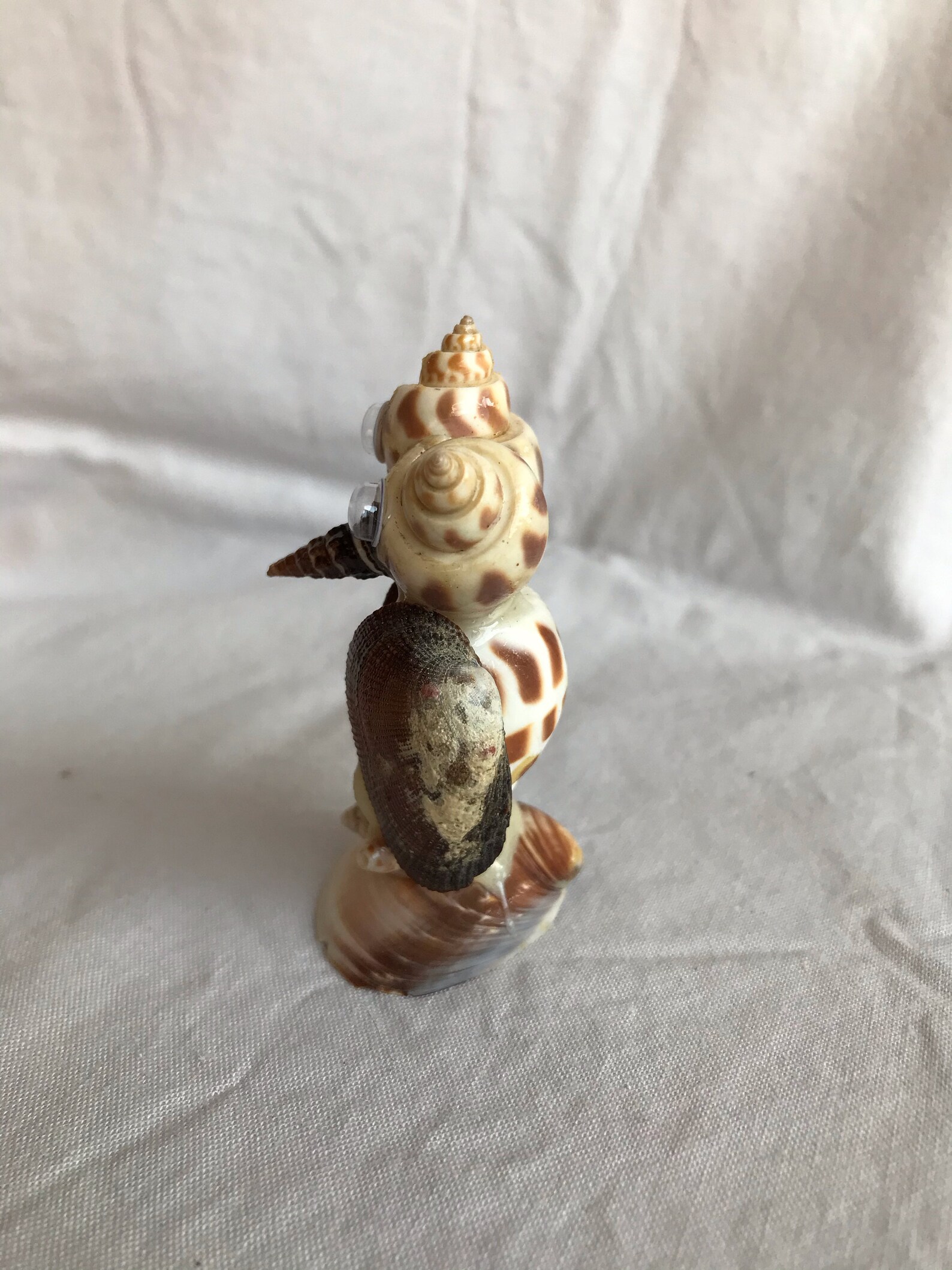 Seashell Bird Cockeyed Bird Natures Beauty Seashell Art | Etsy