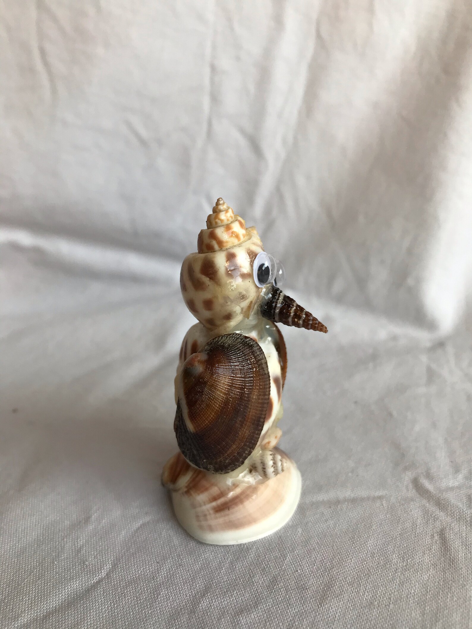 Seashell Bird Cockeyed Bird Natures Beauty Seashell Art - Etsy