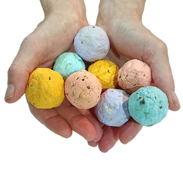 Seed Bombs - Etsy