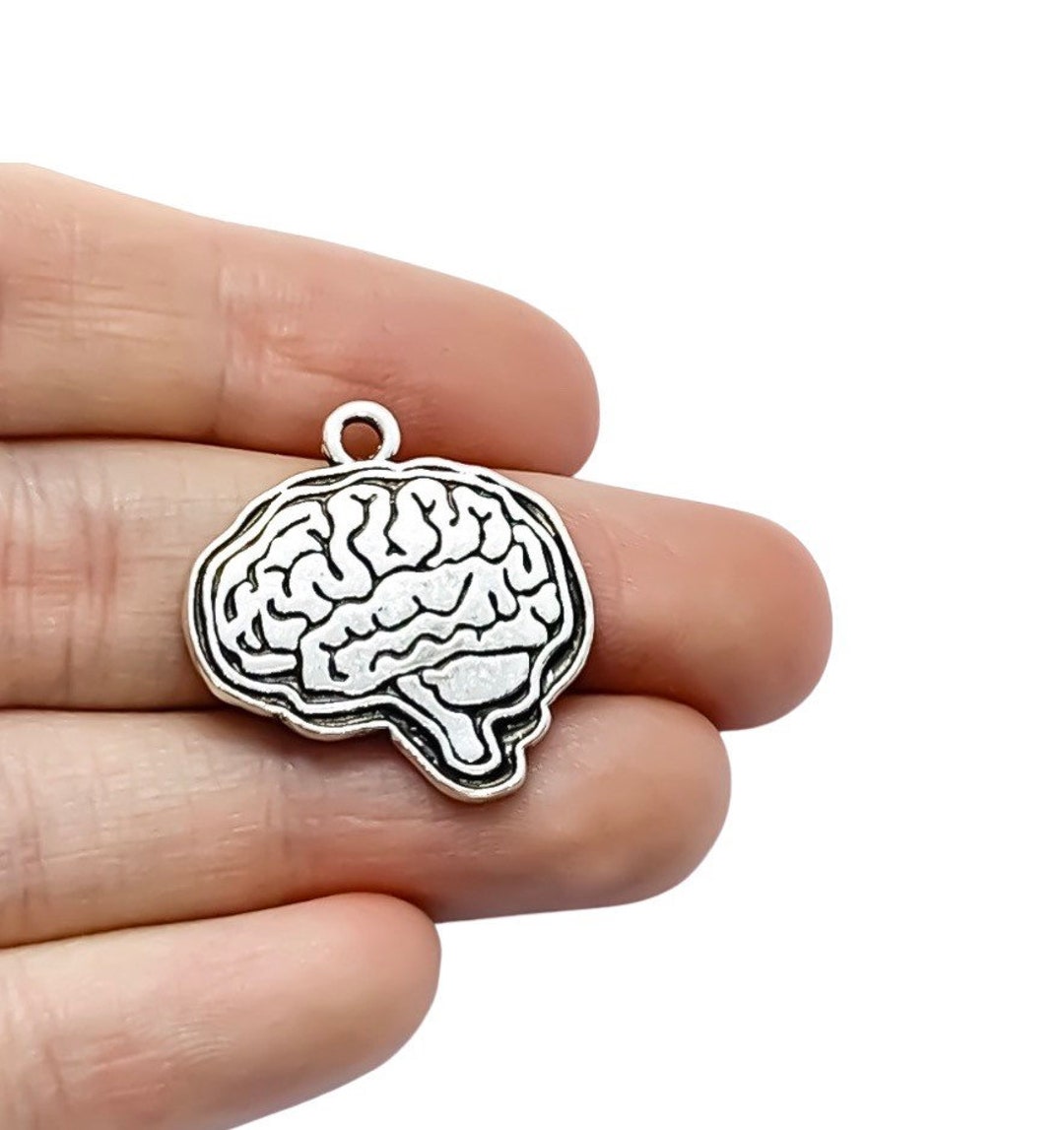 1 Brain Charm, Individual Charms, Anatomy Charms, Biology Charms ...