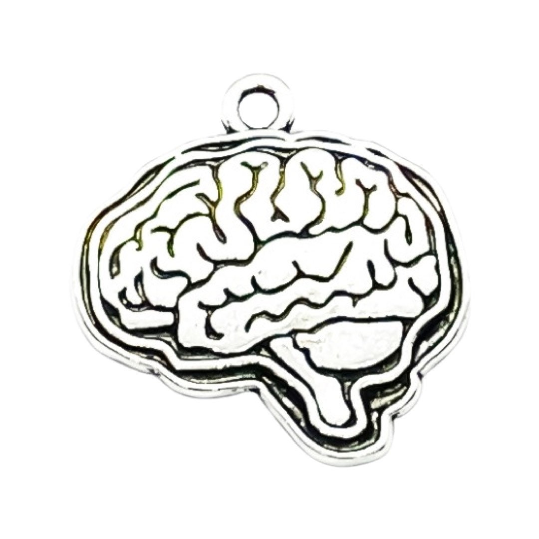 1 Brain Charm, Individual Charms, Anatomy Charms, Biology Charms ...
