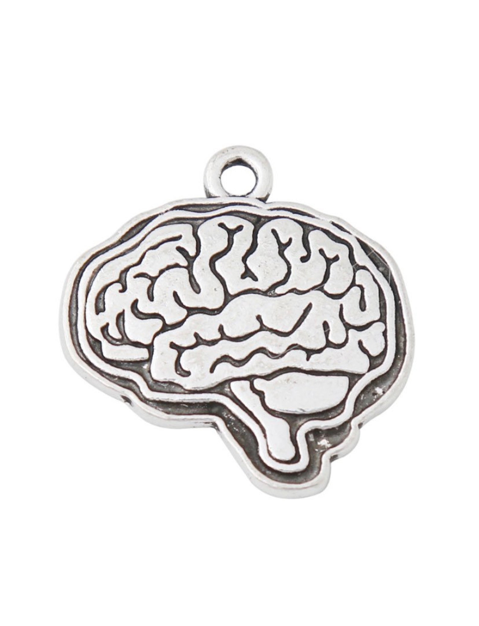 1 Brain Charm, Individual Charms, Anatomy Charms, Biology Charms ...