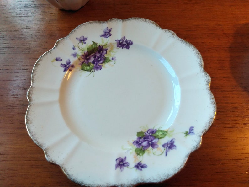 Antique Melba Bone China in Floral Spring Pattern.made by Mayer ...
