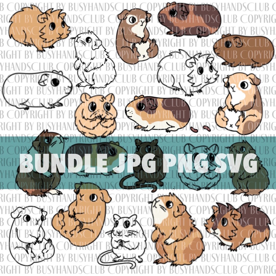 Clipart Bundle Guinea Pig Hamster Degu PNG JPG SVG Digital Graphics for ...