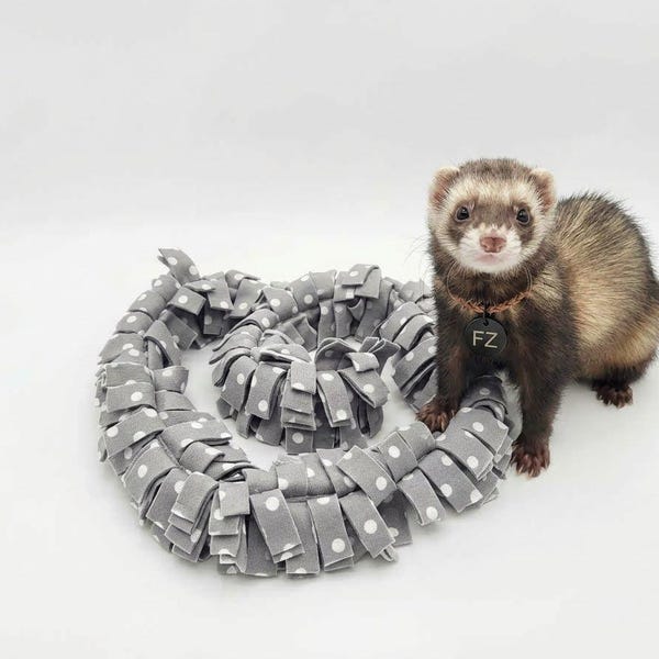 Ferret Climbing Toys - Etsy