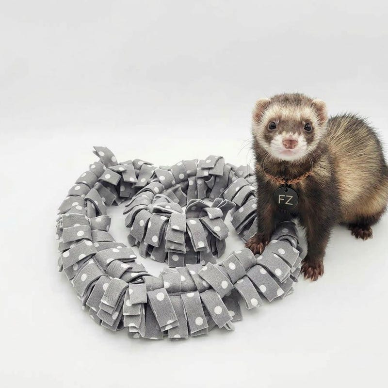 Ferret Climbing Toys - Etsy