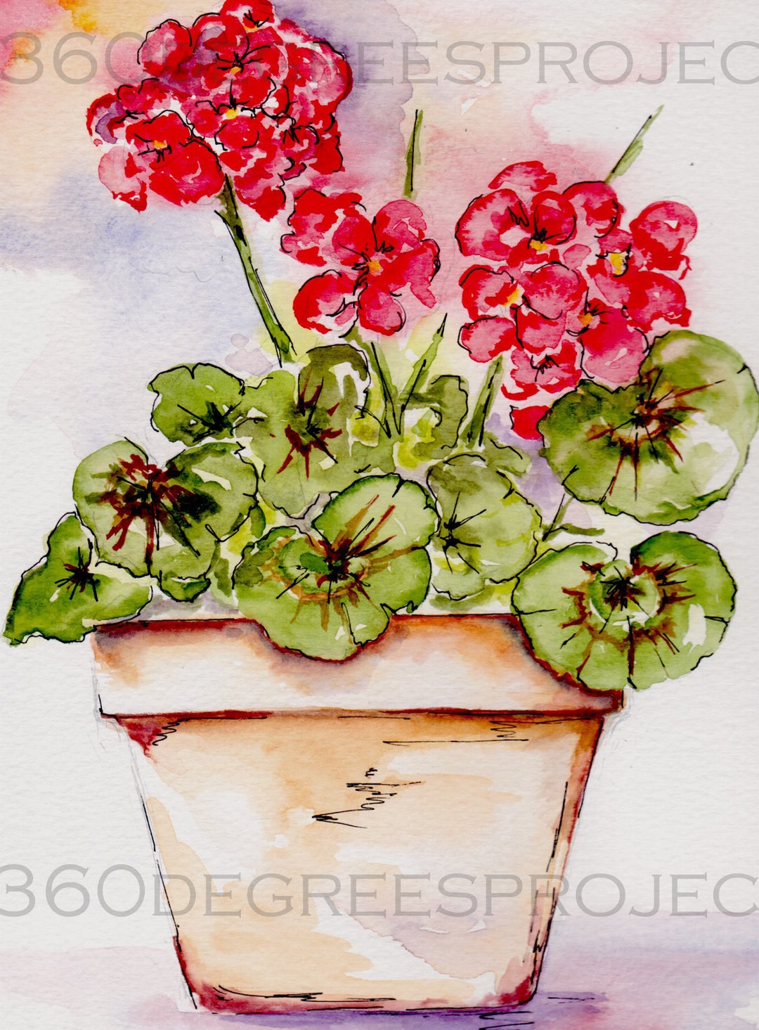 RED GERANIUMS - Watercolors/pen and Ink/ Pencil - Original Art From 360 ...