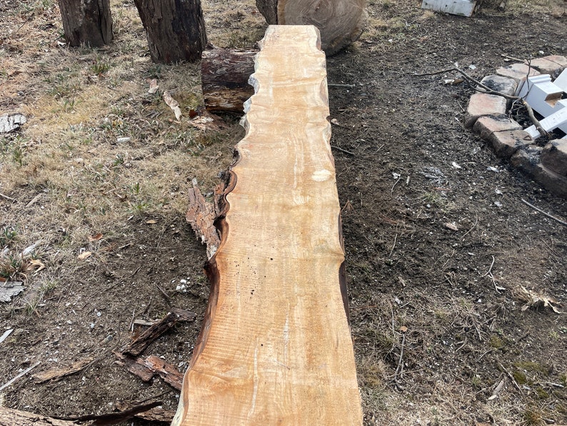 Outdoor Wooden Bench Live Edge Natural Slab Rough Cut on 2 - Etsy