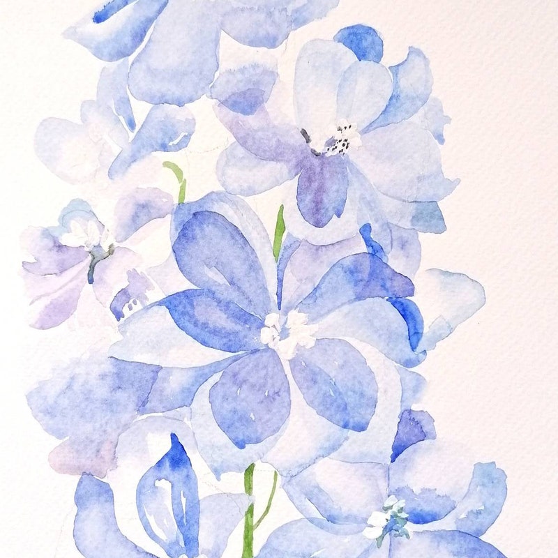 Blue Delphinium - Etsy