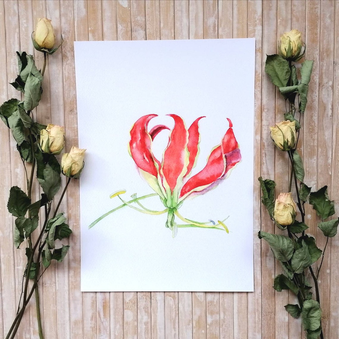 Red Flame Lily Flower Giclee Print FSC FLAME LILY glorious | Etsy