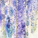 WISTERIA DESCENDING, Flower Original Watercolour Painting by ...