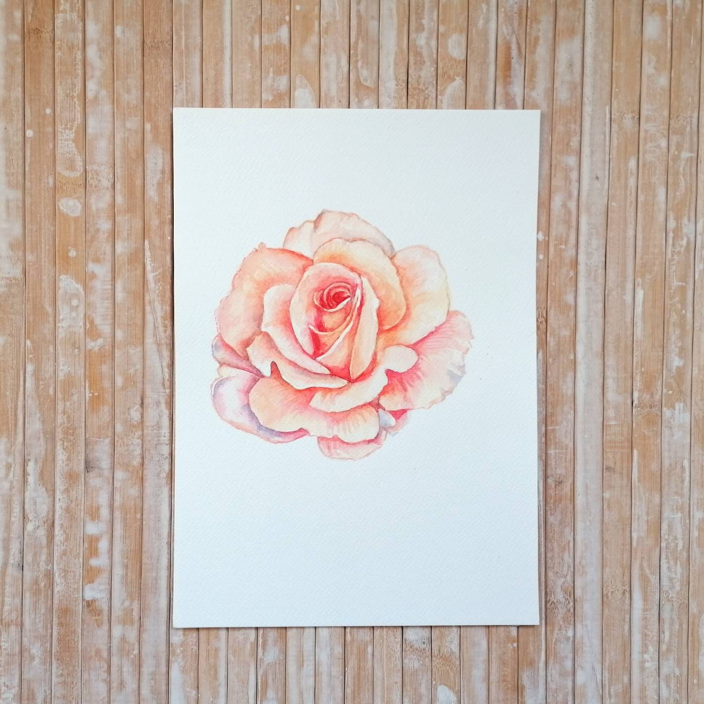 PEACH ROSE Flower Watercolour Original Painting by - Etsy UK