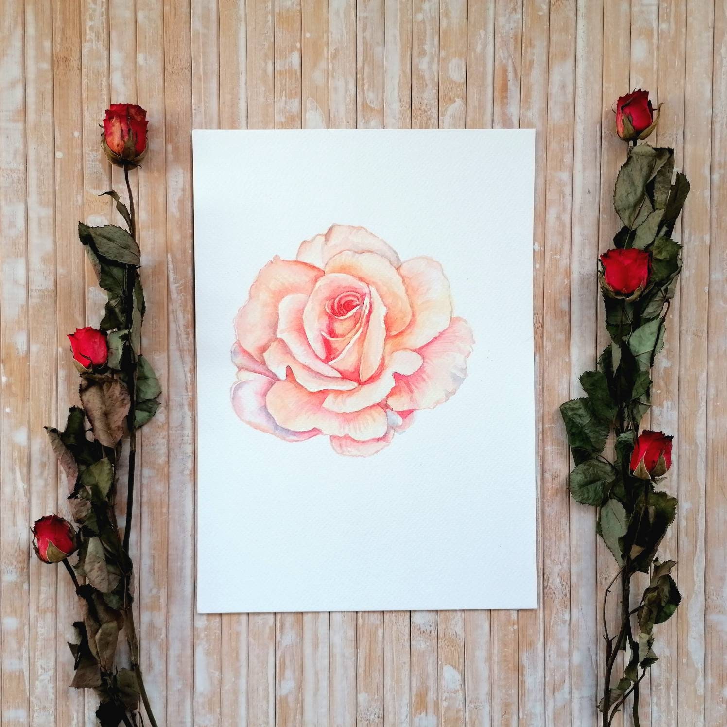 PEACH ROSE Flower Watercolour Original Painting by - Etsy UK